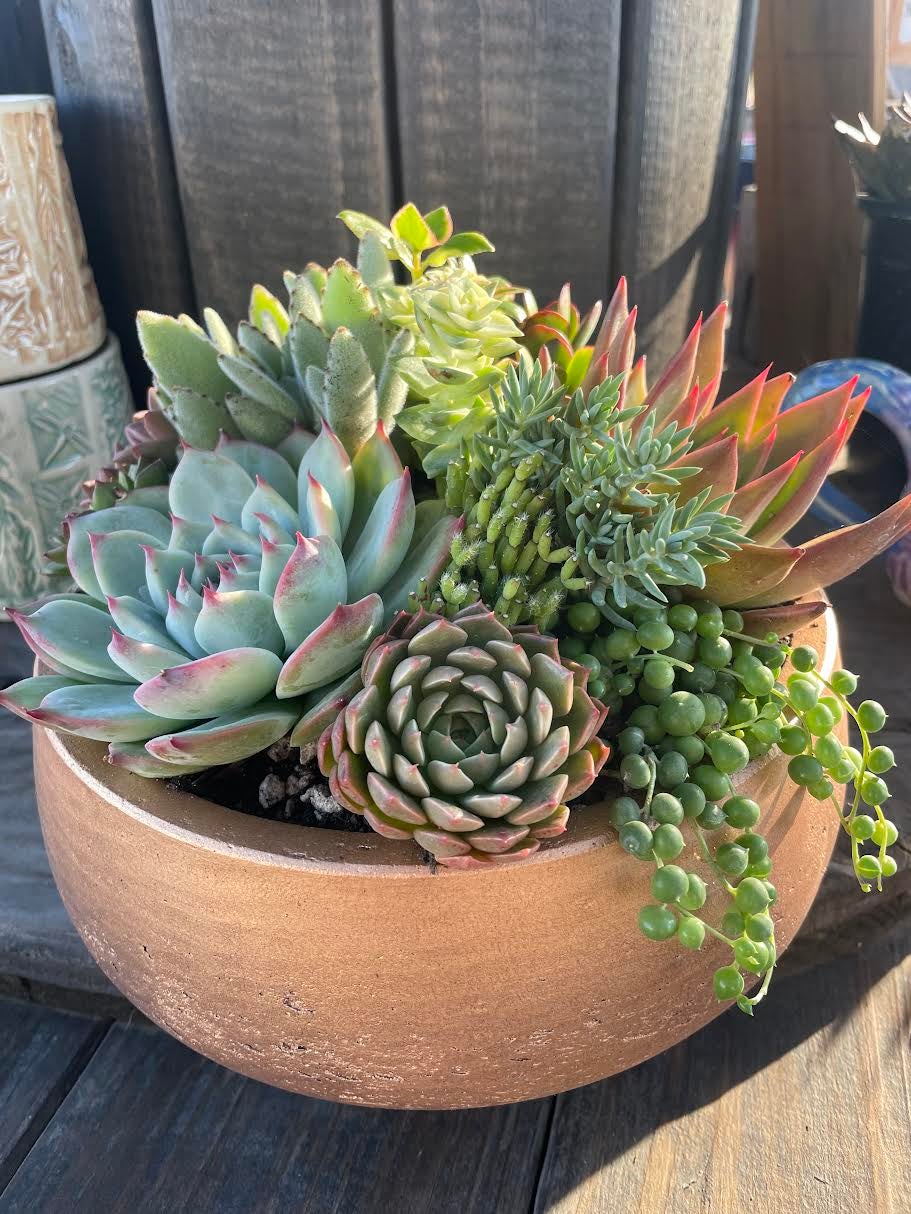 Round Gold Centerpiece | Star Succulent Nursery